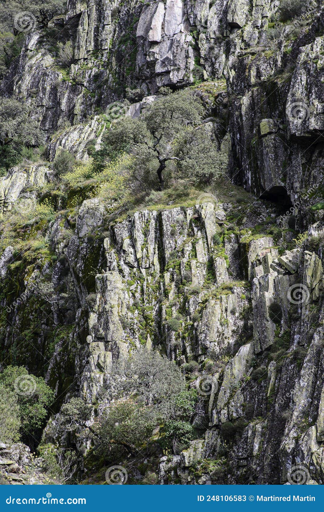 Oaks in the Slate Mountains of Las Hurdes Stock Image - Image of famous ...