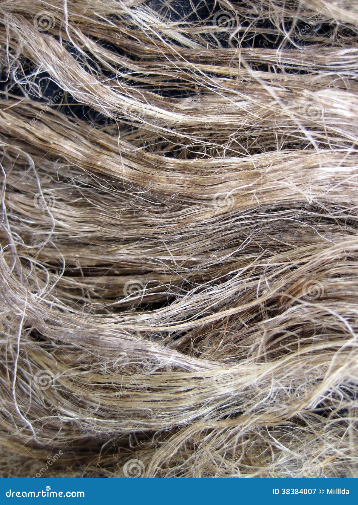 Oakum stock image. Image of texture, pattern, white, background - 38384007