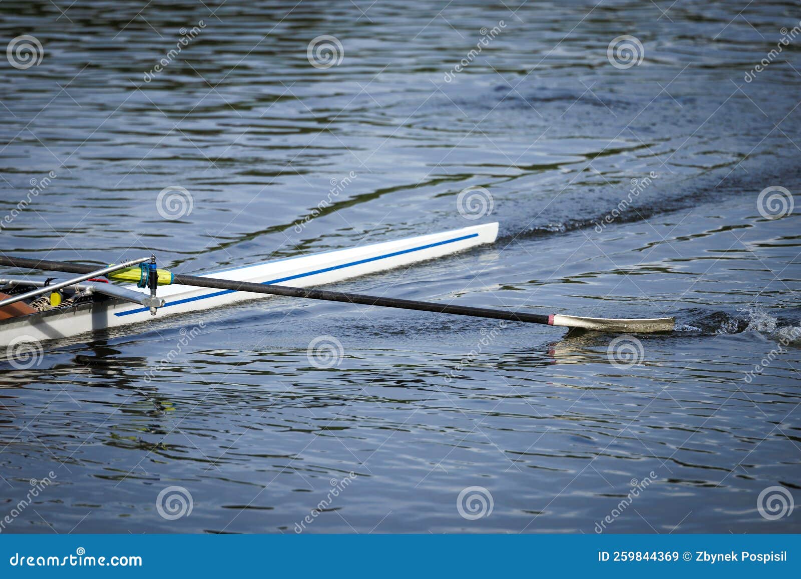 Single Scull Man Rower Rowing on River Stock Image - Image of fitness ...