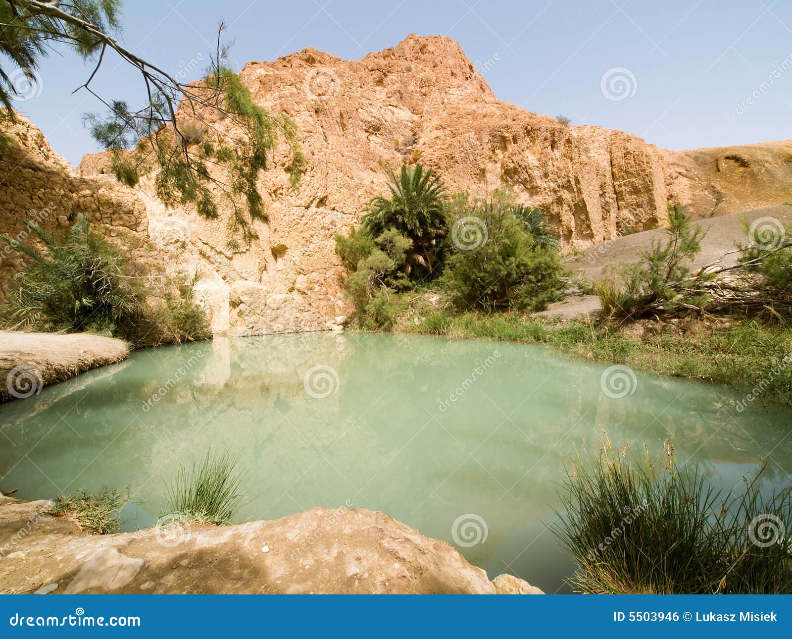 Oase auf der Wüste 3 stockfoto. Bild von palme, araber - 5503946