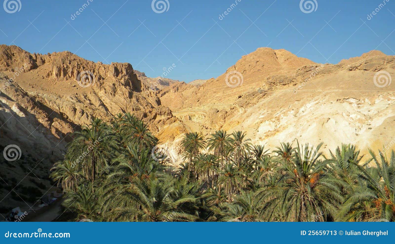 Oase in de woestijn stock afbeelding. Image of arabië - 25659713