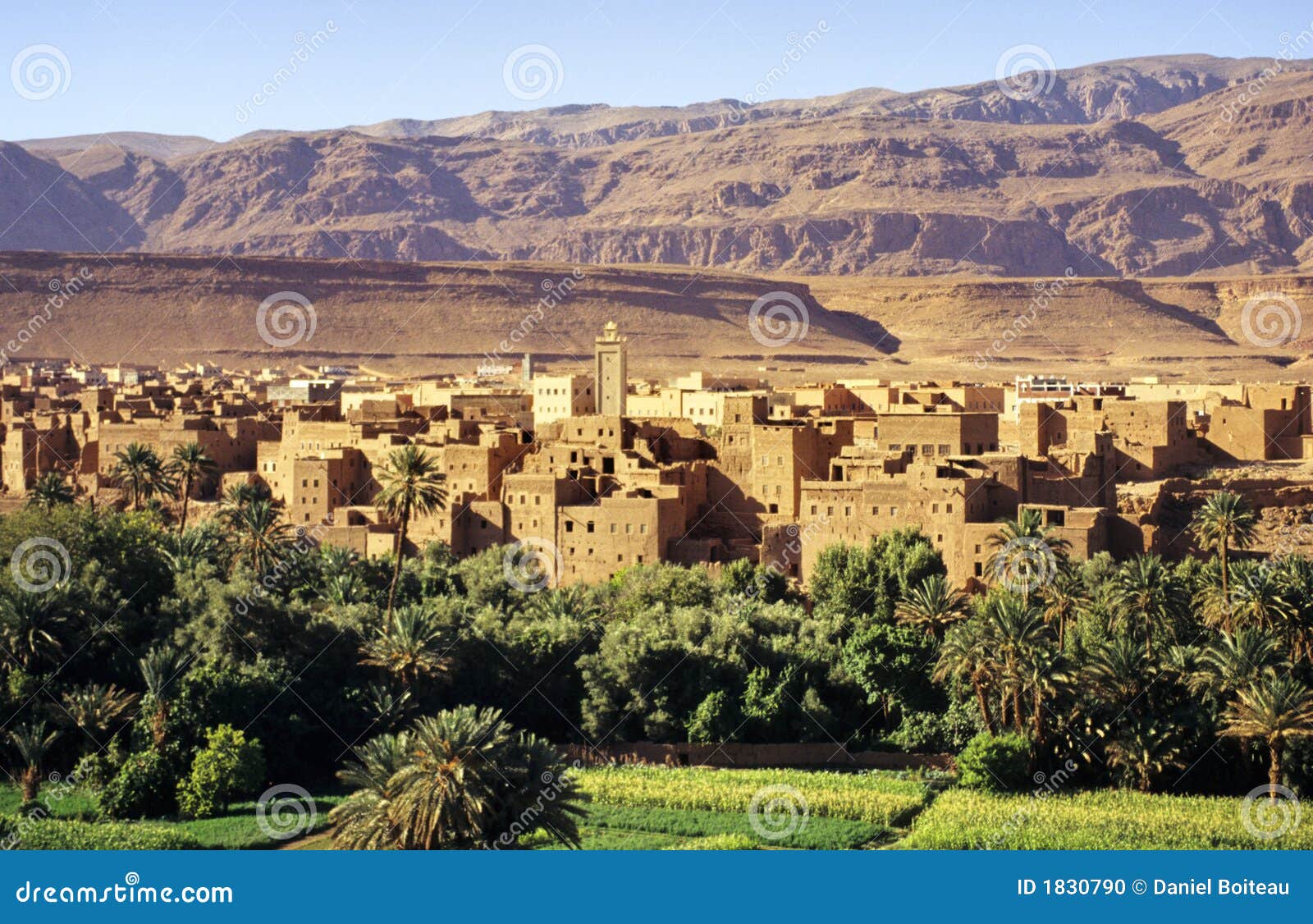 Oasis stock photo. Image of exotic, africa, oriental, architecture ...