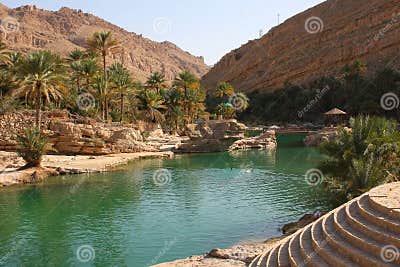 Oasis stock image. Image of oasis, green, plants, rocks - 28701581