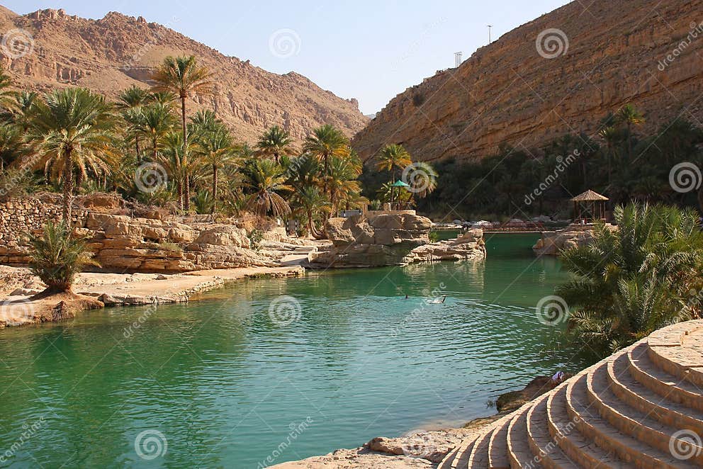Oasis stock image. Image of oasis, green, plants, rocks - 28701581