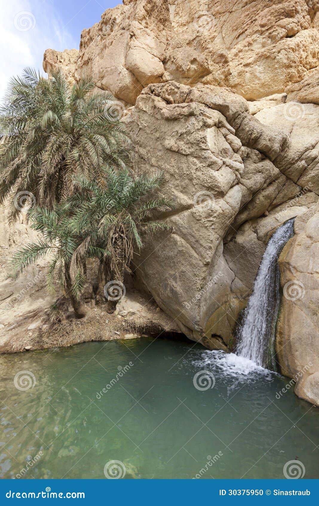 Oasis of Chebika stock photo. Image of tree, clouds, desert - 30375950