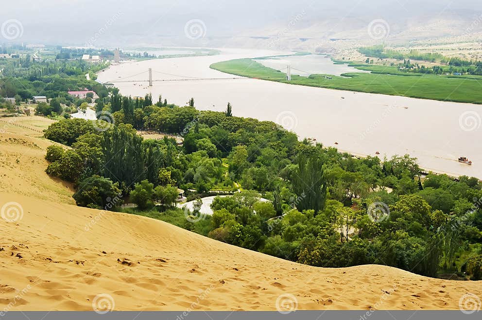 An oasis in the desert stock image. Image of nature, plant - 20800233