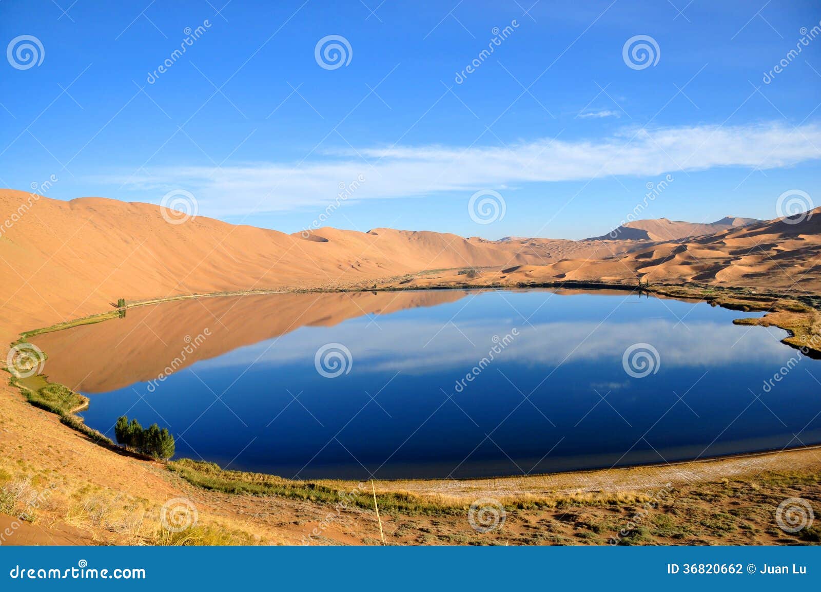 Oasis in desert stock photo. Image of desert, beautiful - 36820662