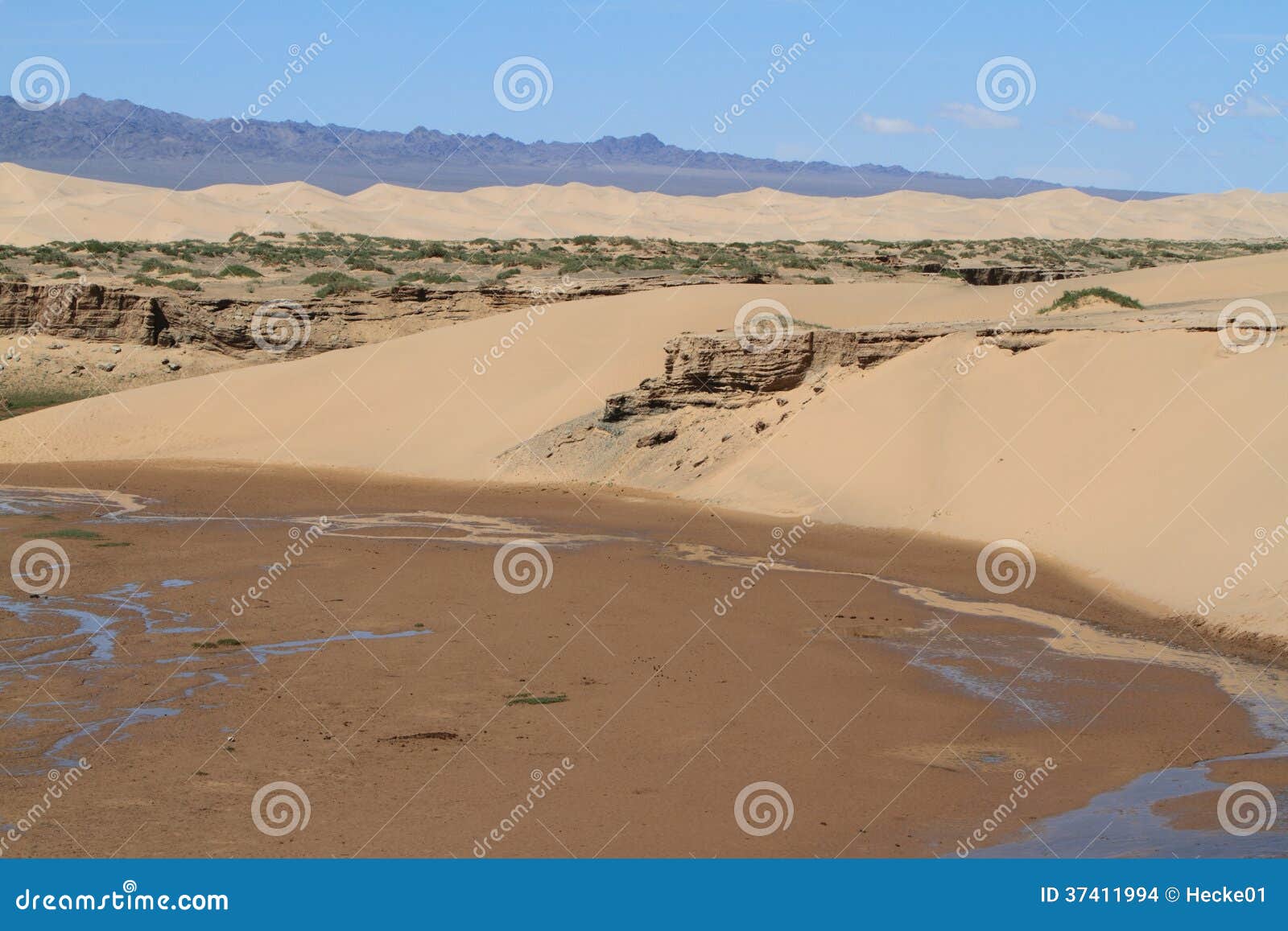 Oasis in the Desert Gobi stock photo. Image of dune, warming - 37411994