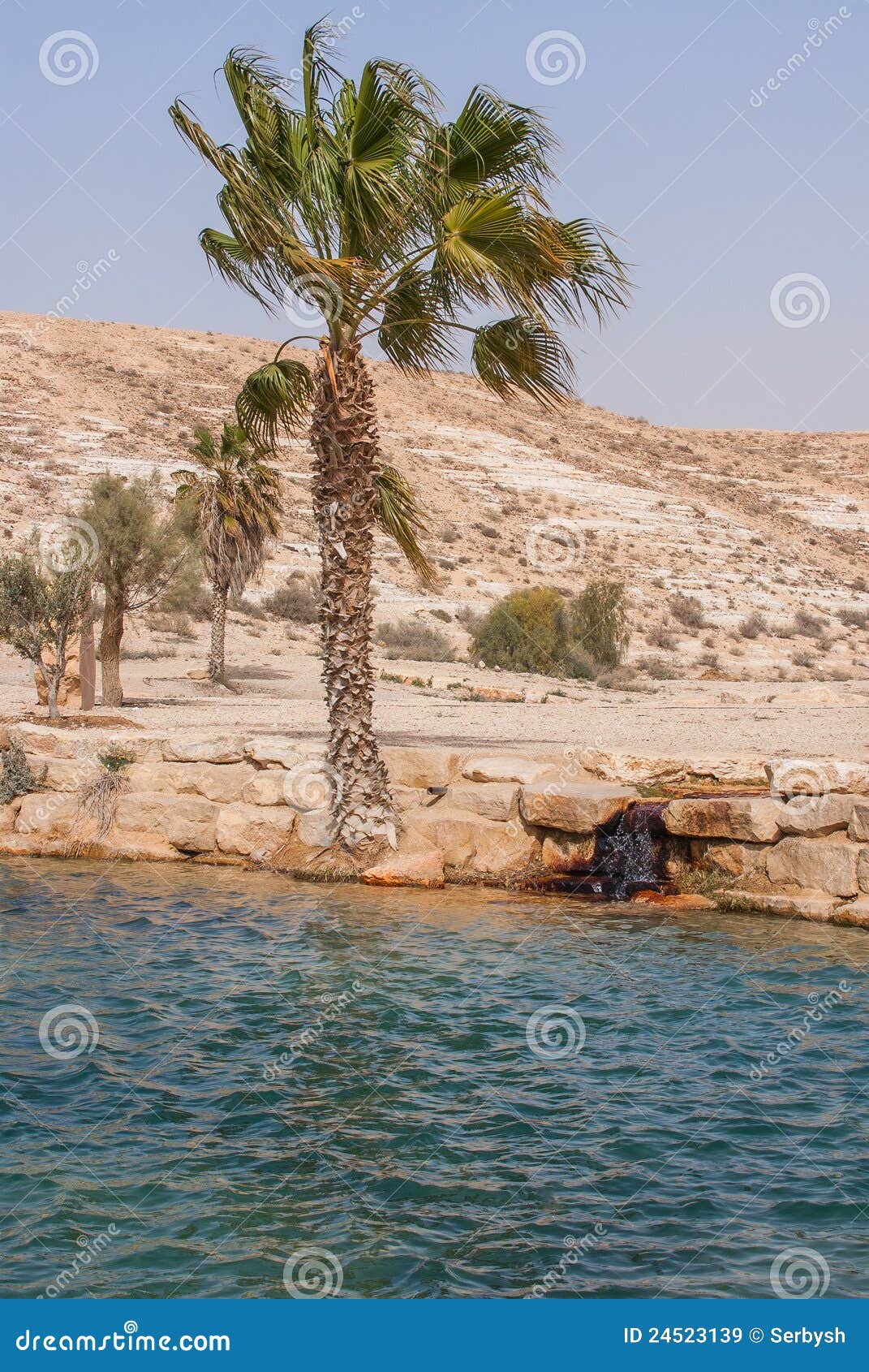 Oasis in the Desert Negev stock image. Image of relax - 24523139
