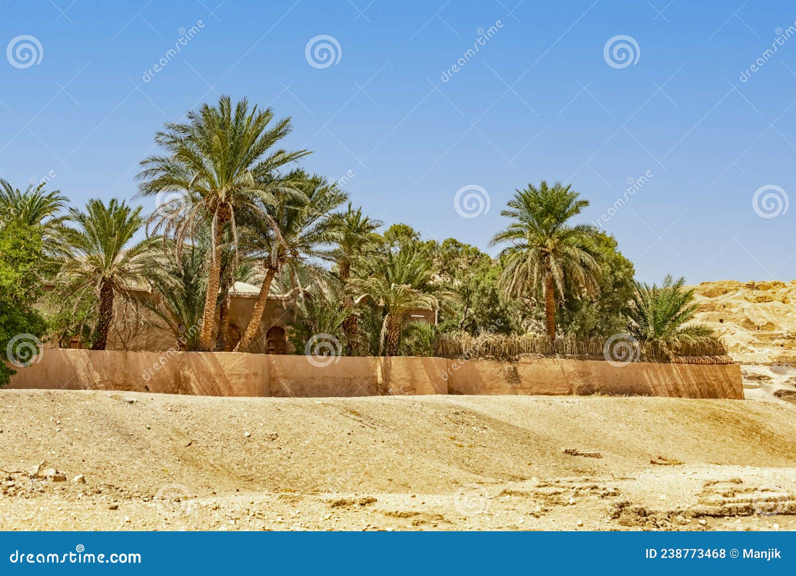Oasis in the Egyptian Desert Stock Photo - Image of ancient, landmark ...
