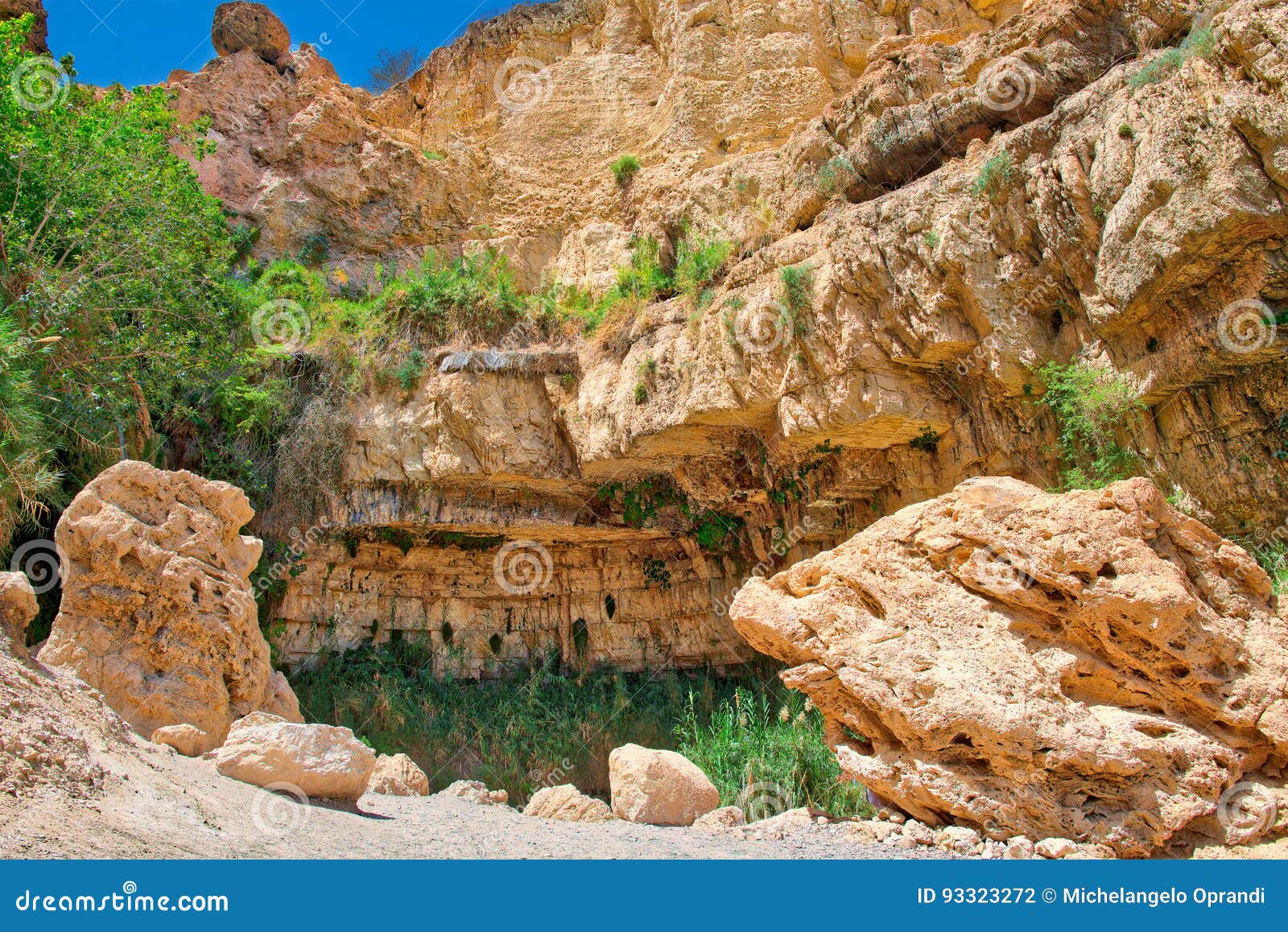 Oasis of Ein Gedi National Park in Israel Stock Photo - Image of ...