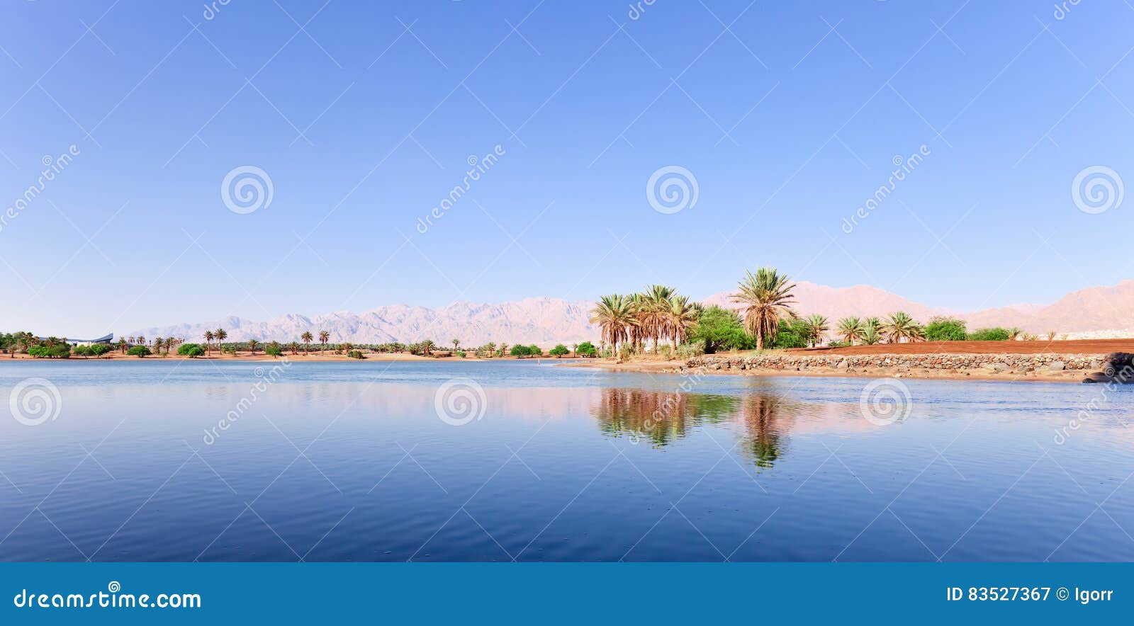 Oasis en el sur de Israel imagen de archivo. Imagen de turismo - 83527367