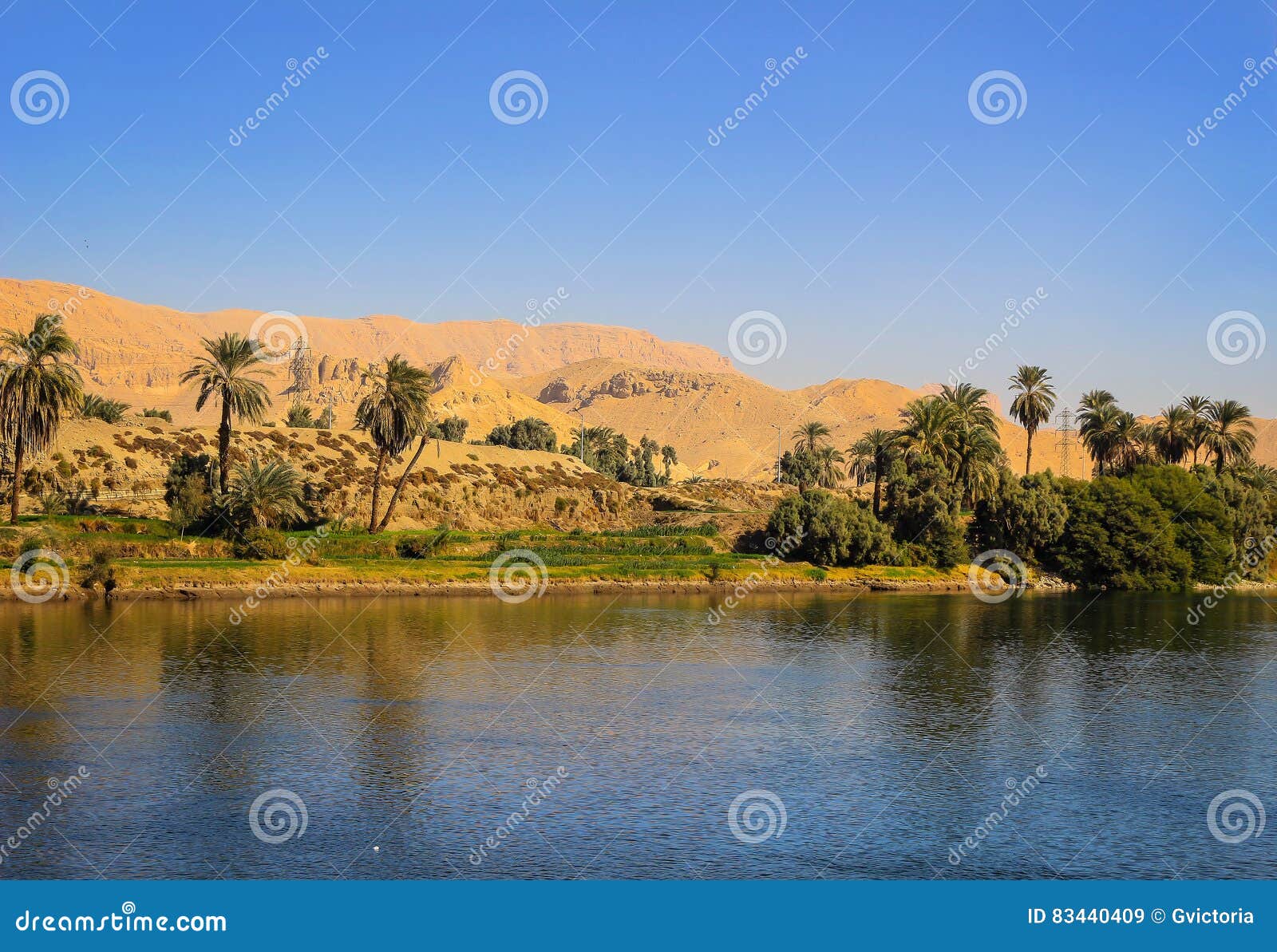 Oasis En Nile River, Egipto Imagen de archivo - Imagen de nilo, egipcio ...