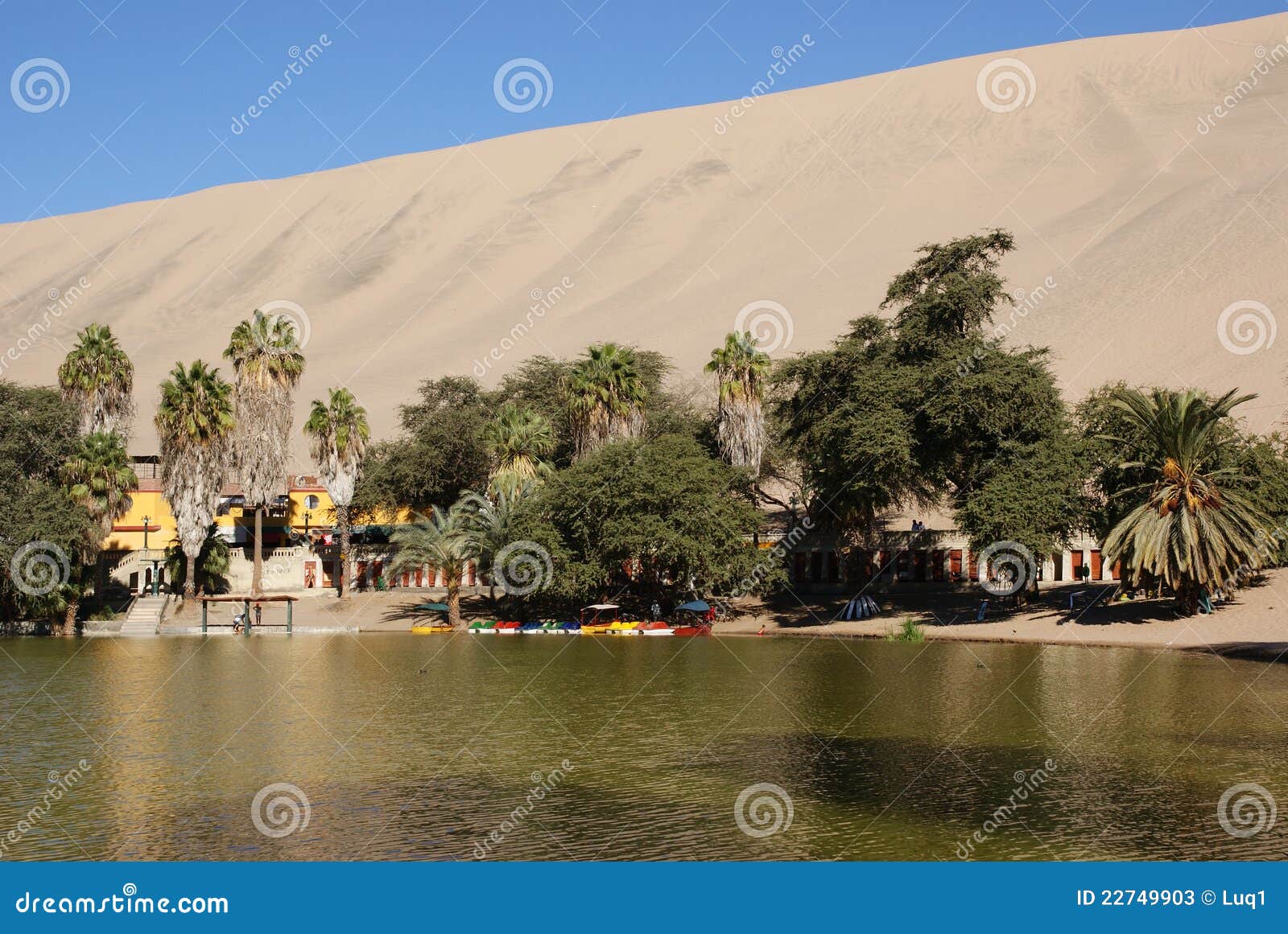 Oasis of Huacachina, Peru stock image. Image of sand - 22749903
