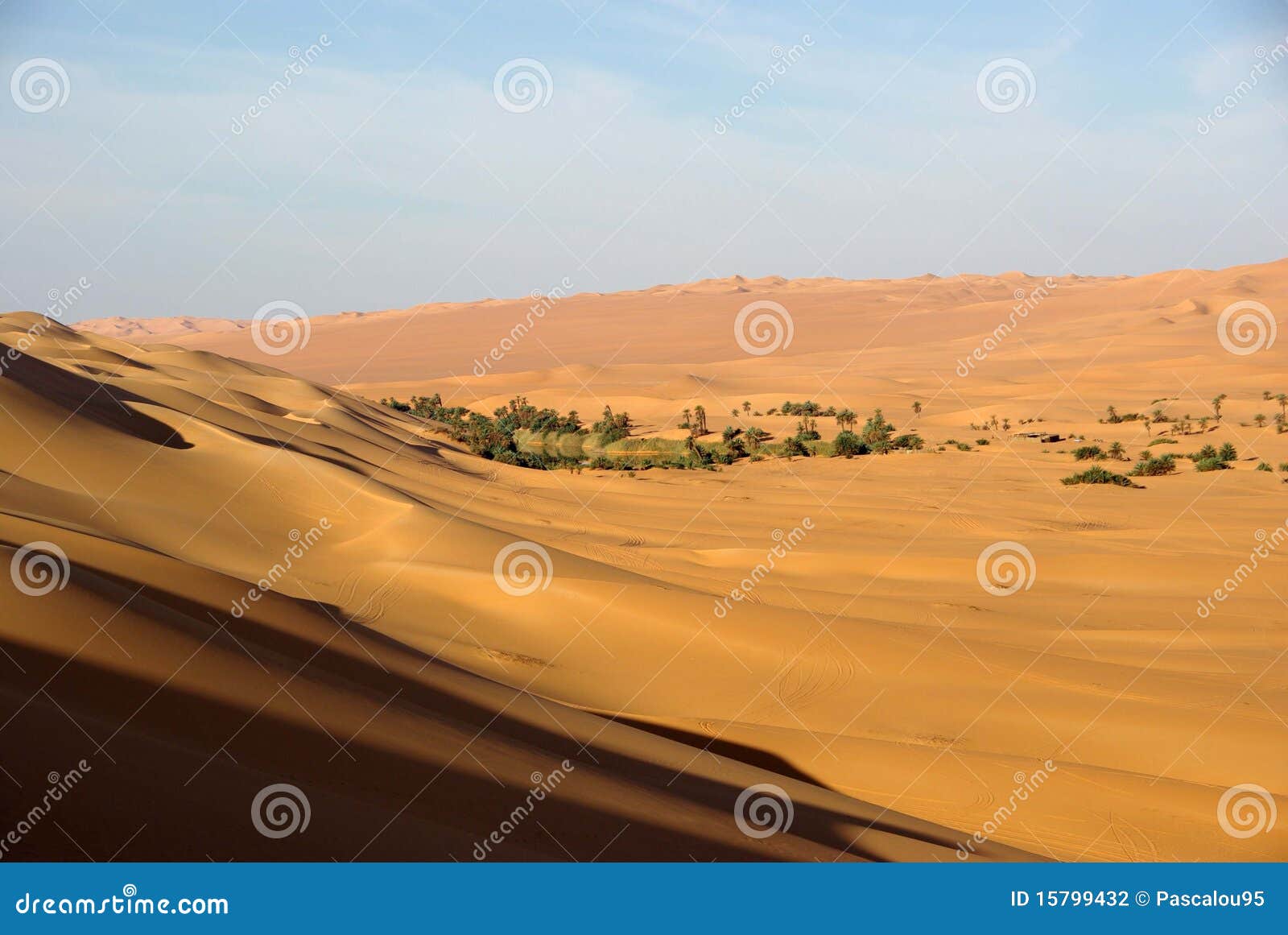Oasis in Libyan desert stock photo. Image of expanse - 15799432