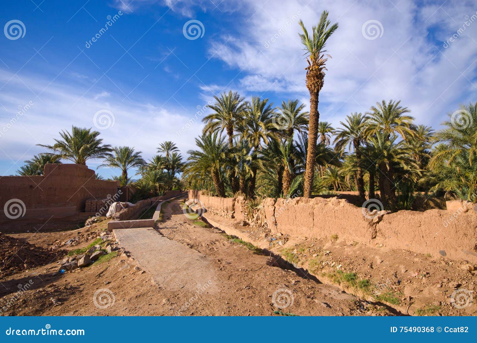 Oasis in Morocco stock photo. Image of oasis, africa - 75490368