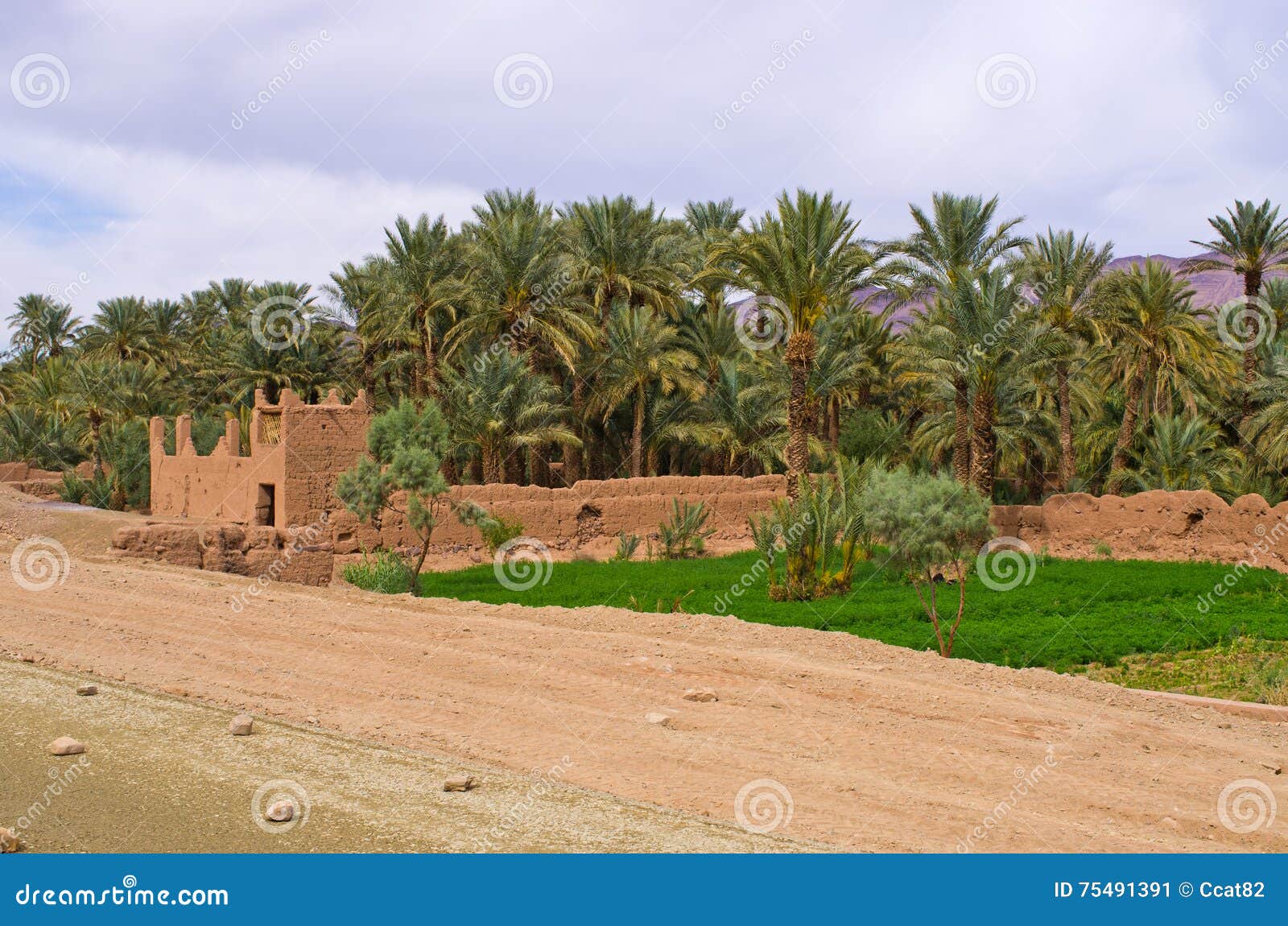 Oasis in Morocco stock image. Image of outdoor, arab - 75491391