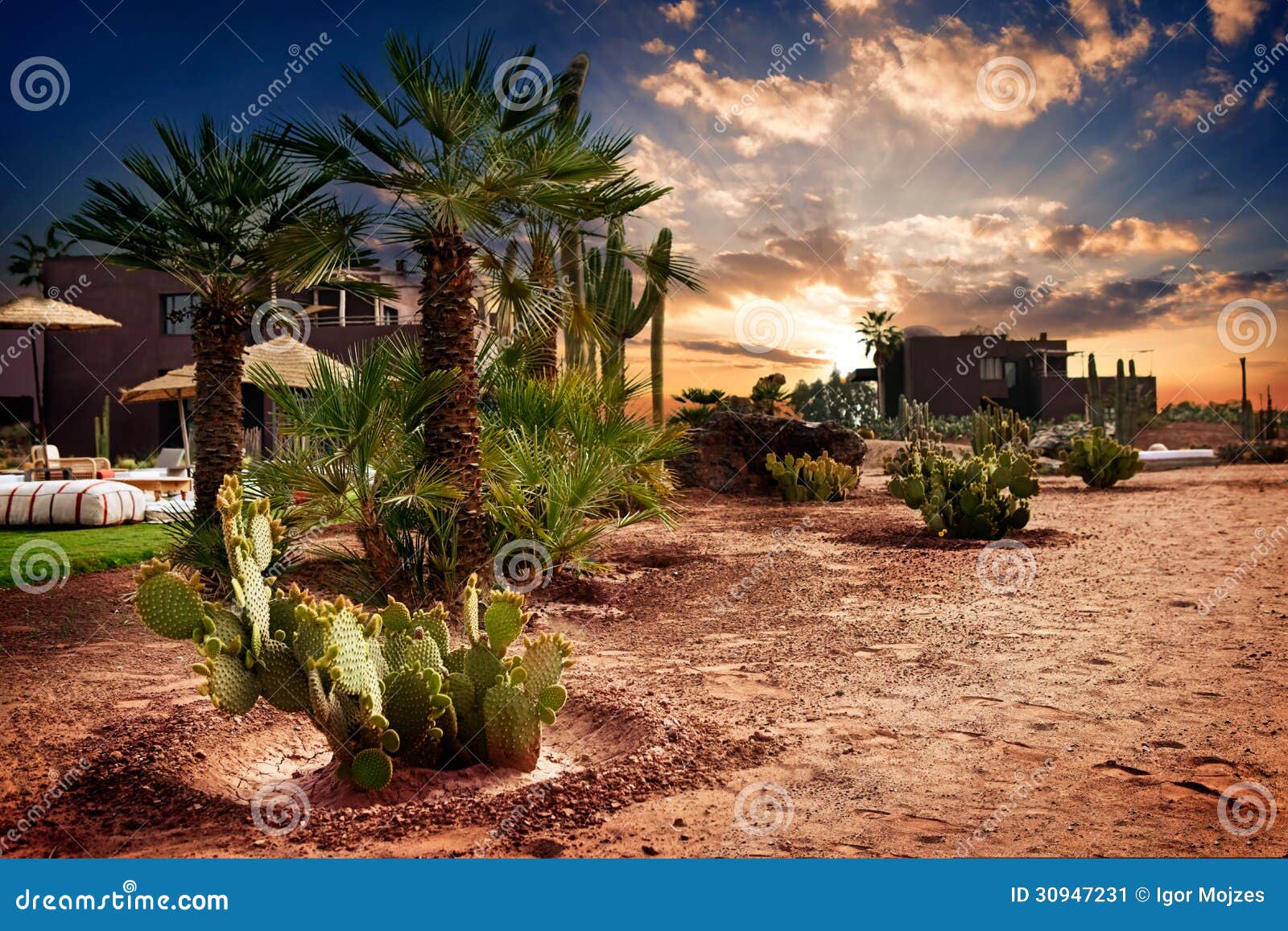 Oasis in Morocco stock image. Image of tranquility, tropic - 30947231
