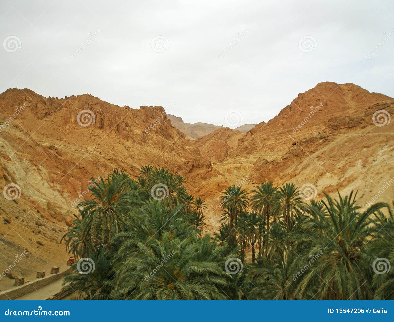 Oasis in Sahara desert stock photo. Image of cliff, mountain - 13547206