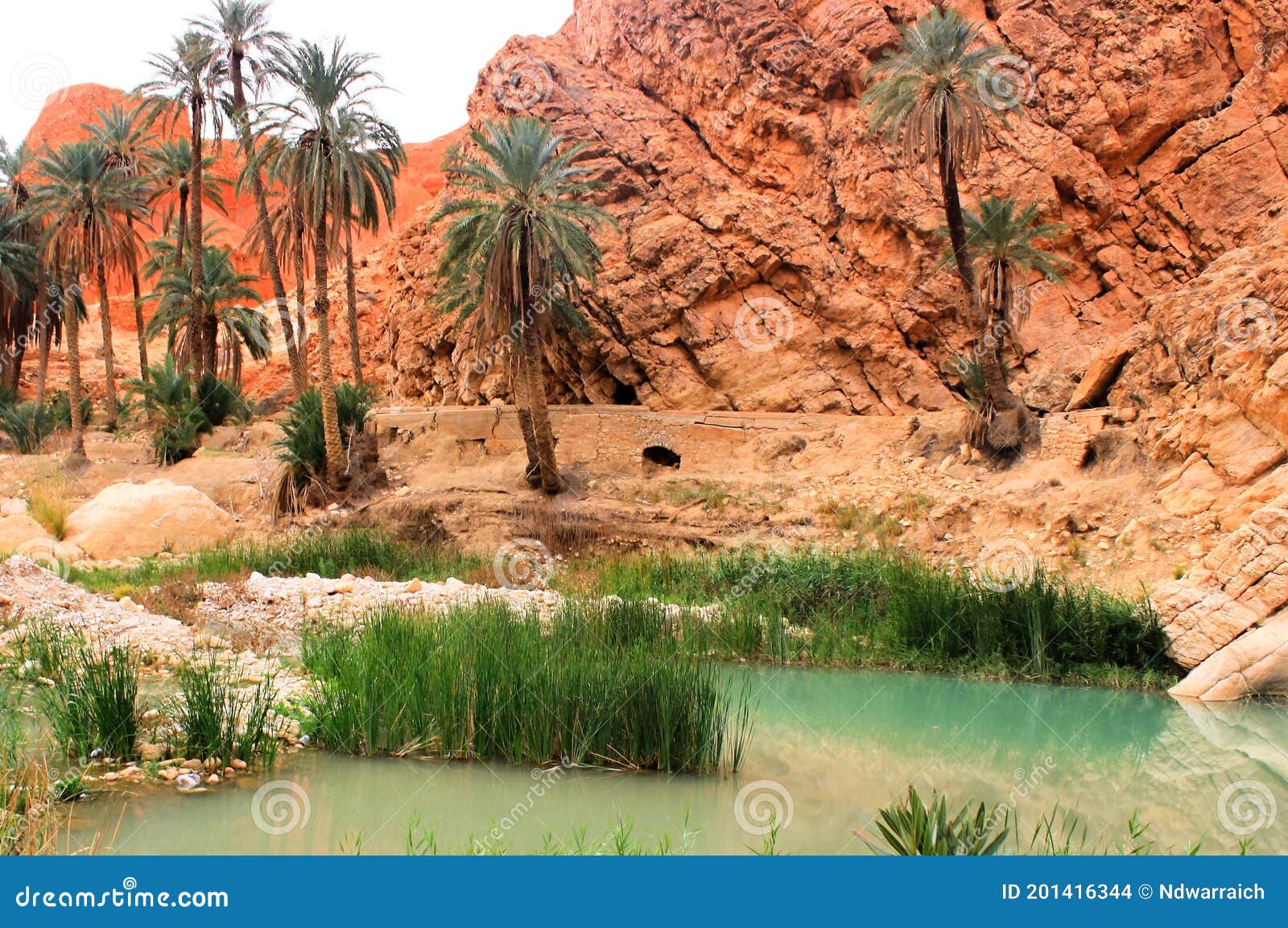 An Oasis in the Sahara Desert Stock Photo - Image of hill, nature ...