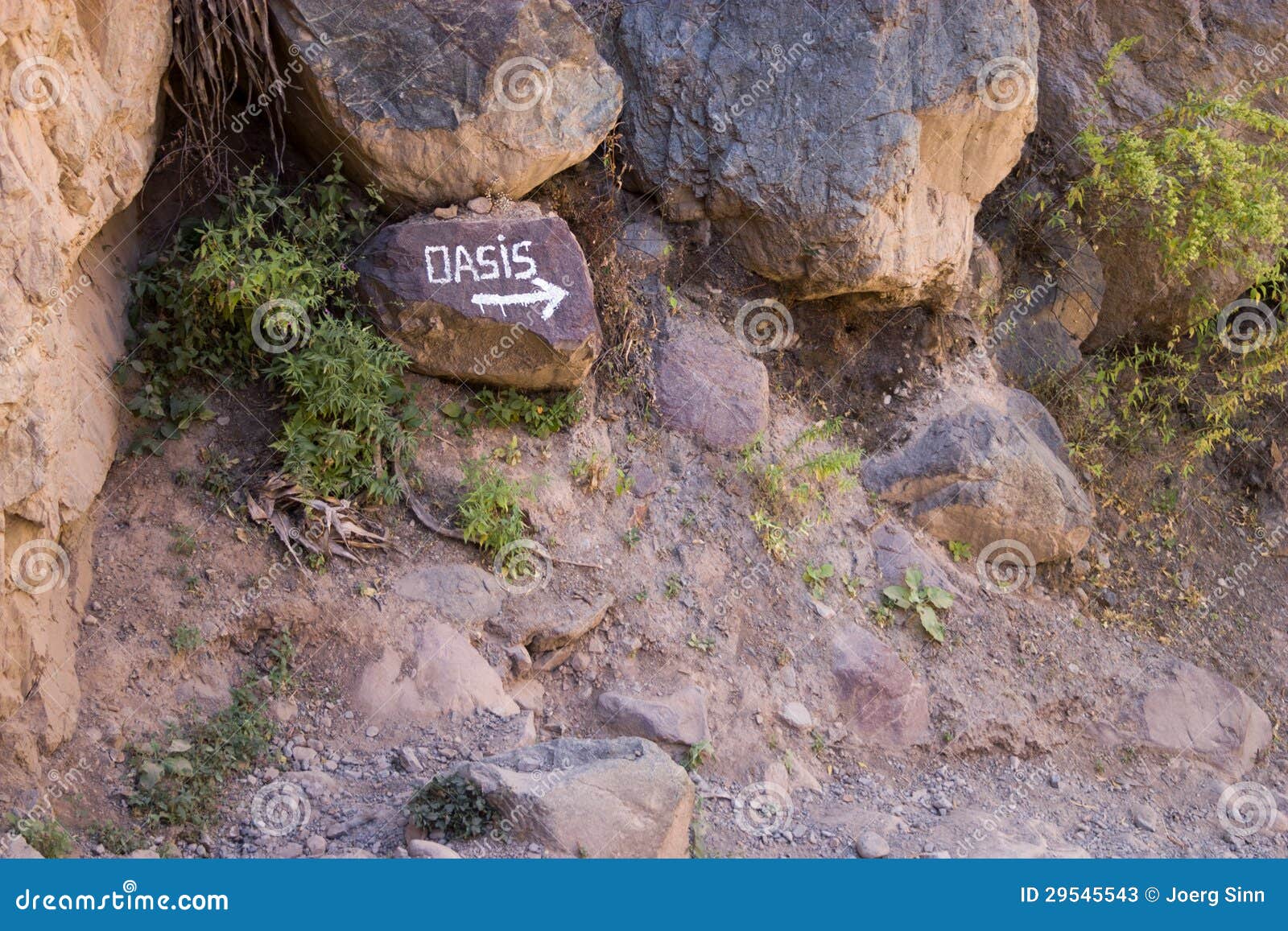 Oasis Sign Stock Image | CartoonDealer.com #29545543