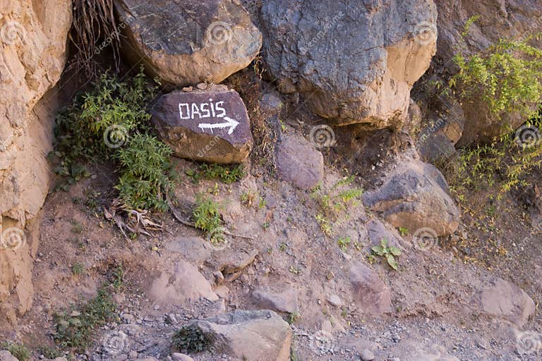 Oasis sign stock image. Image of nature, reserve, outdoor - 29545543