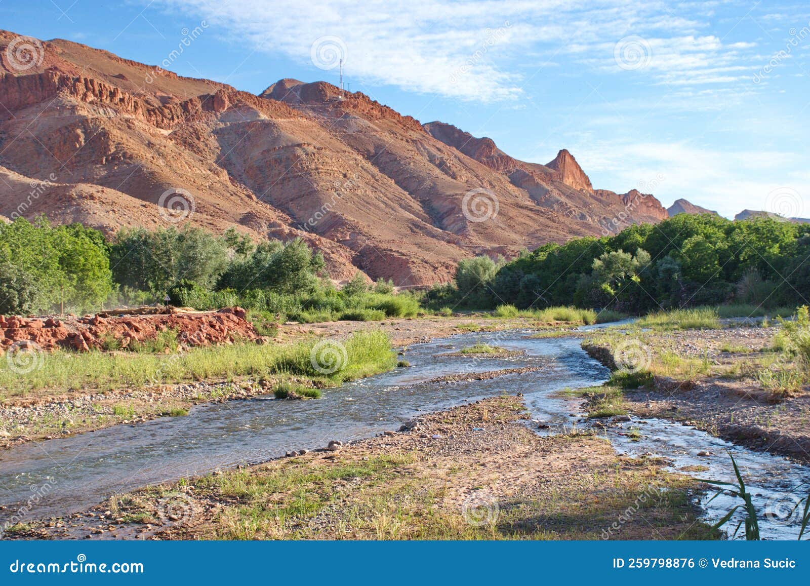 Oasis stock photo. Image of water, blue, outdoor, outdoors - 259798876