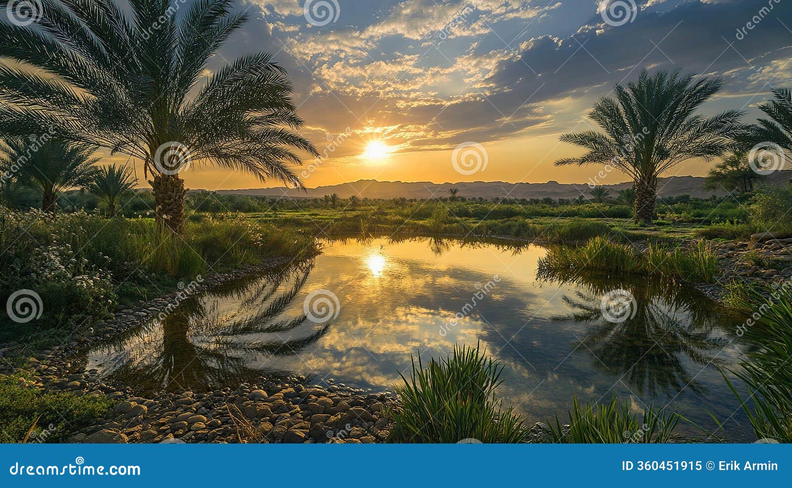 Oasis Sunset Reflection, Palm Trees, Desert, Tranquil Stock Image - Image of paradise, nature ...
