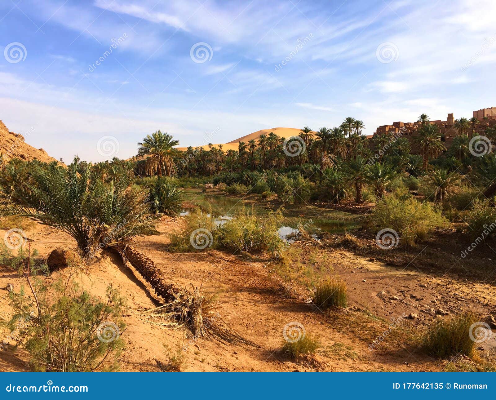 Oasis of Taghit stock image. Image of african, north - 177642135