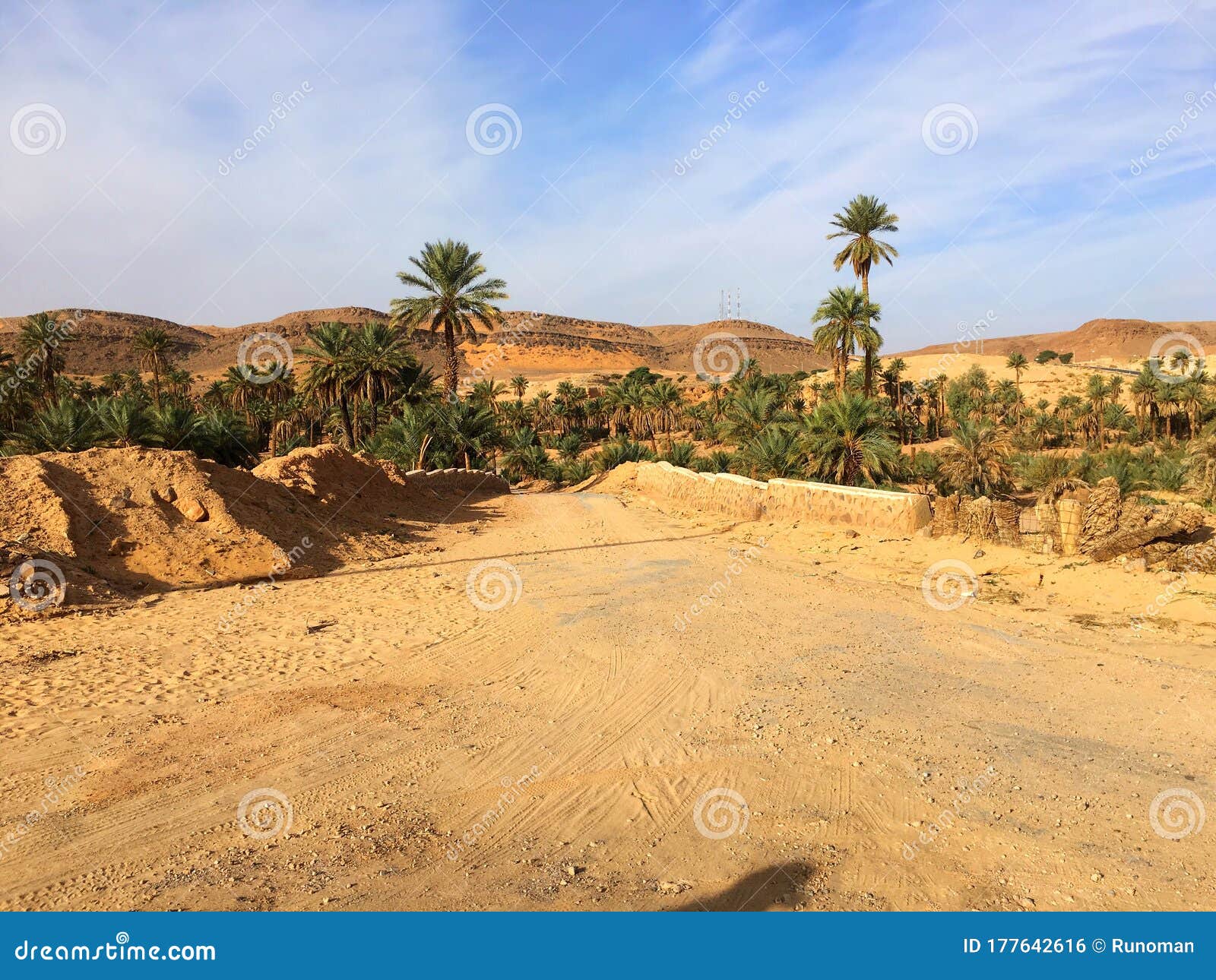 Oasis of Taghit stock photo. Image of africa, berber - 177642616