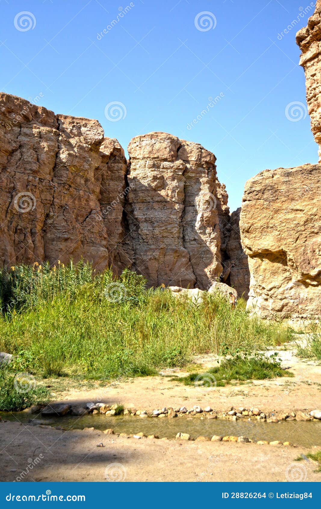Oasis Tamerza stock photo. Image of river, place, mountains - 28826264