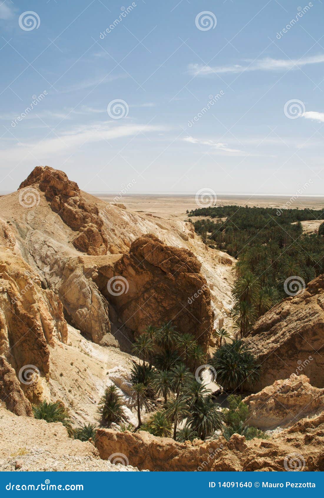 Oasis in Tunisia stock photo. Image of chebika, africa - 14091640