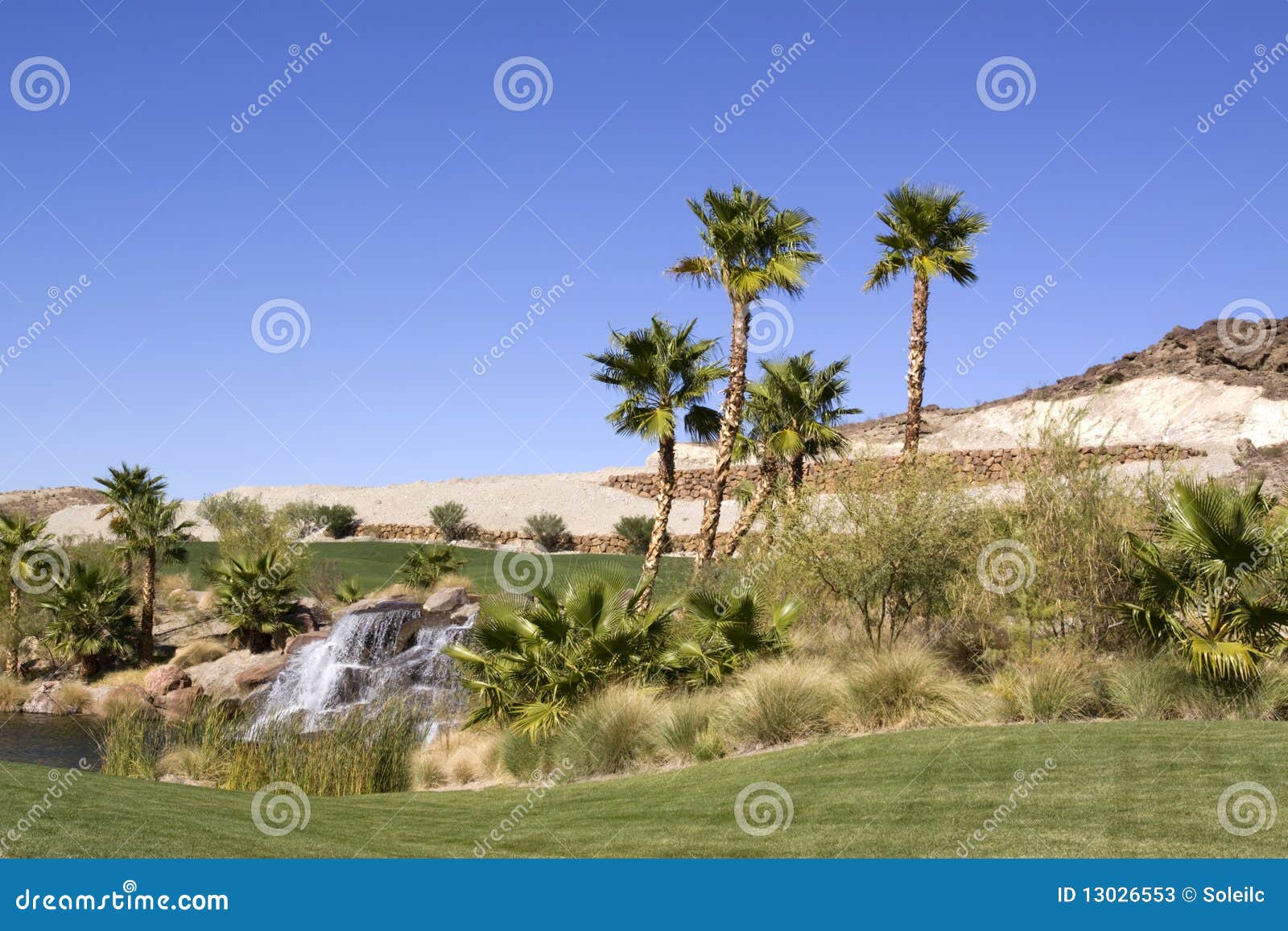 Oasis with Waterfall and Palm Trees Stock Image - Image of grass ...