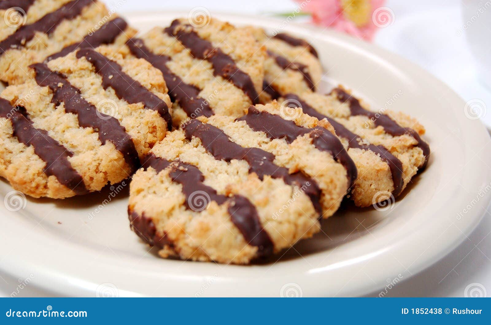 Oat Biscuits with Chocolate Stock Photo - Image of desserts, oven: 1852438
