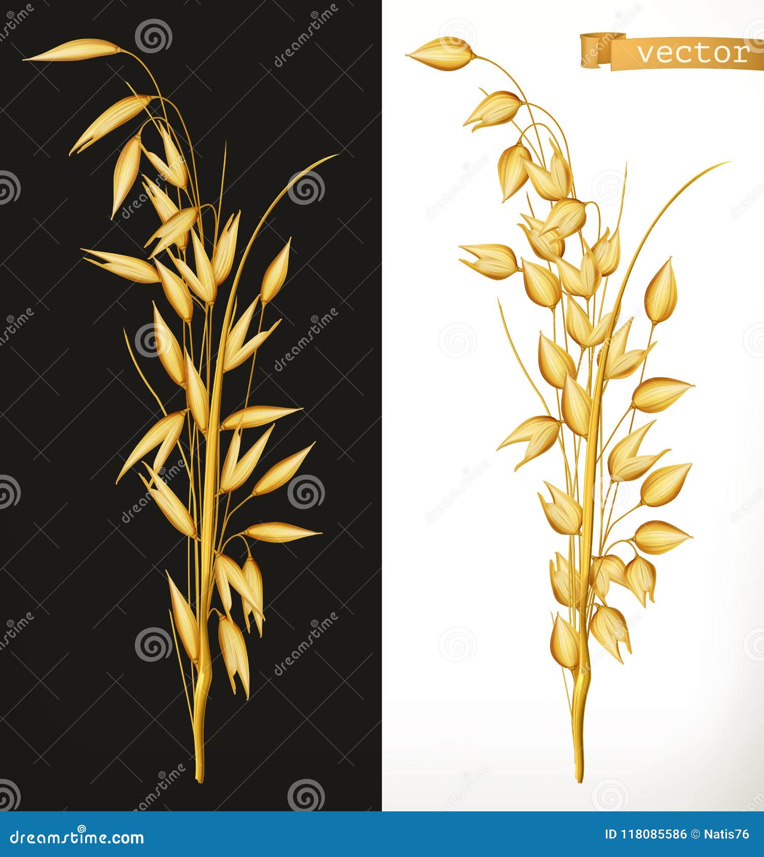 Oat. 3d vector icon stock vector. Illustration of bakery - 118085586