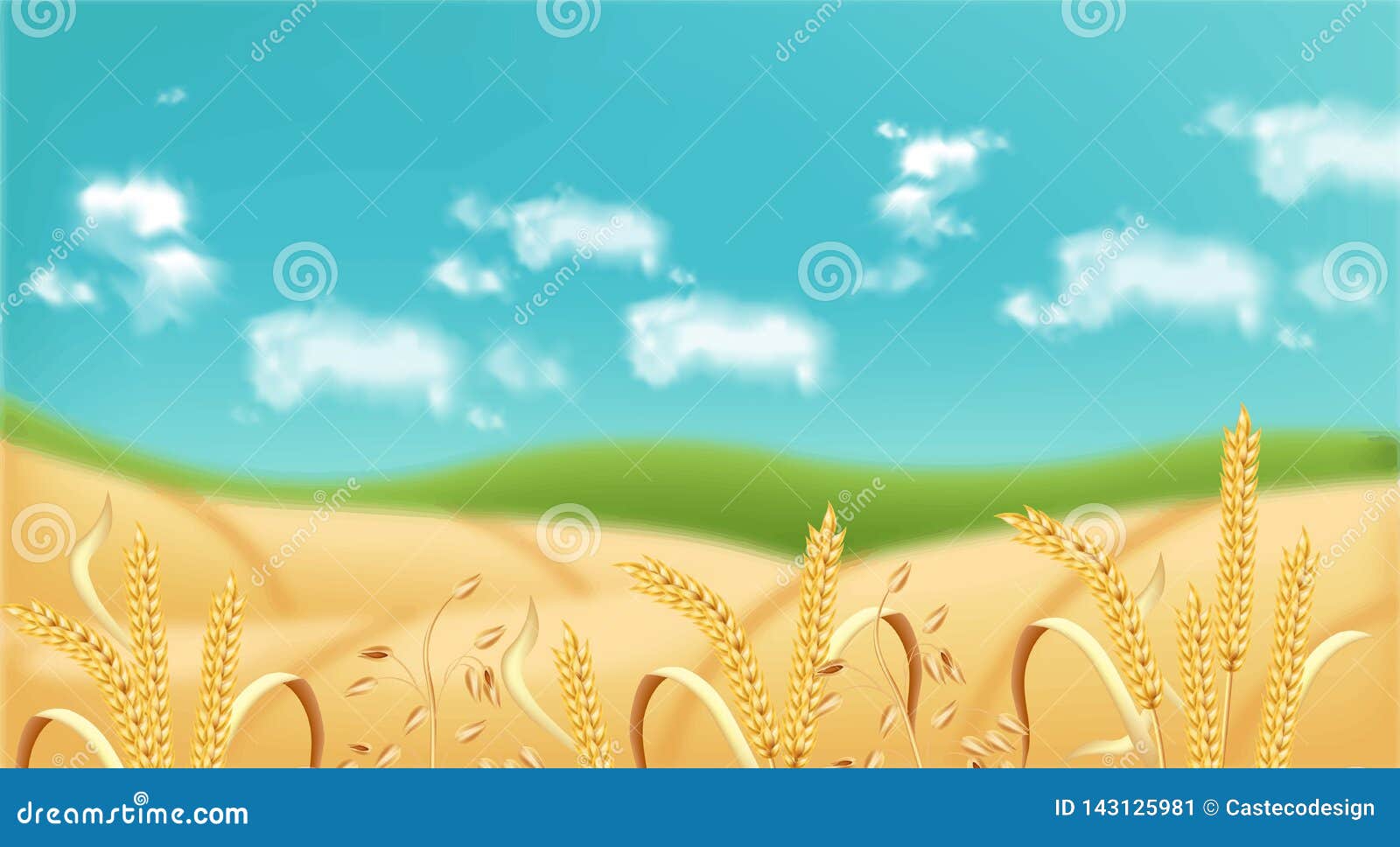 Oat Fields Vector Realistic Background. Summer Season Growing Oats ...
