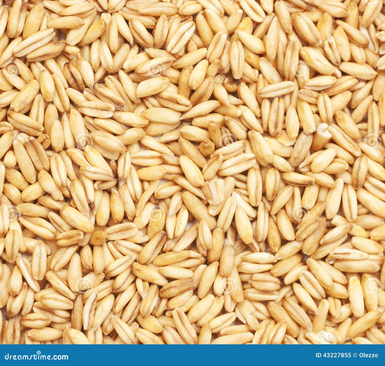Oat Grain, Background and Texture Stock Image - Image of diet, healthy ...