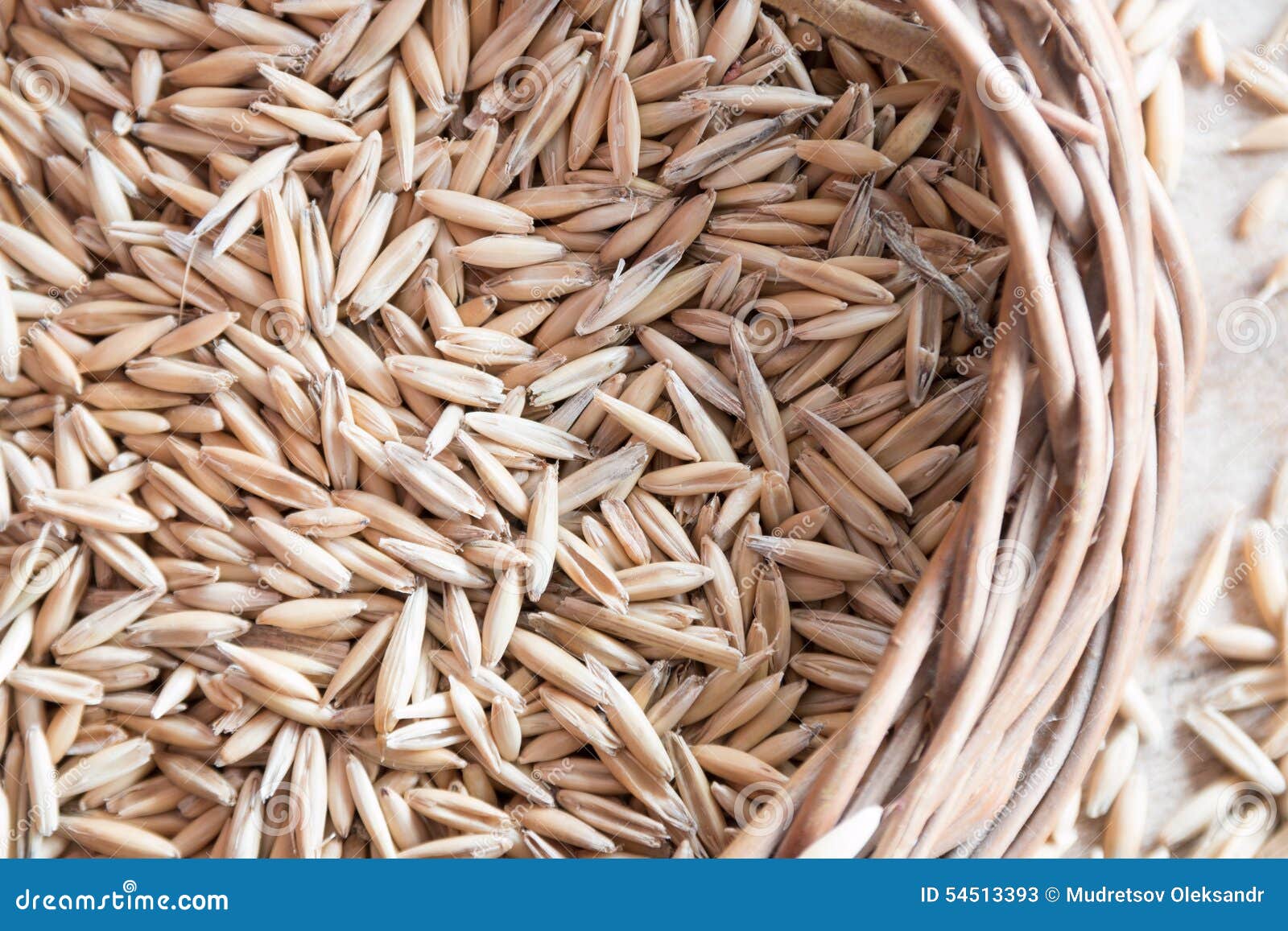 Oat grain stock image. Image of health, farming, oats - 54513393