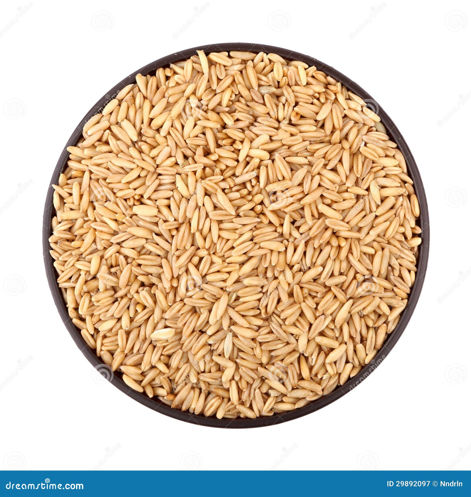 Oat grain stock image. Image of grain, uncooked, object - 29892097