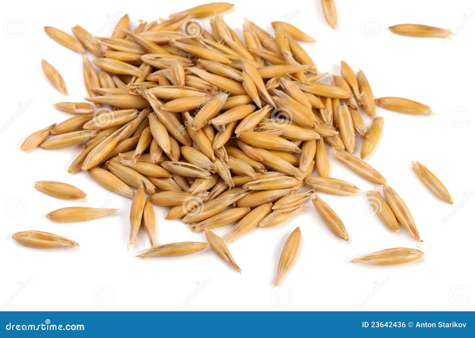 Oat grains stock photo. Image of oatmeal, health, natural - 23642436