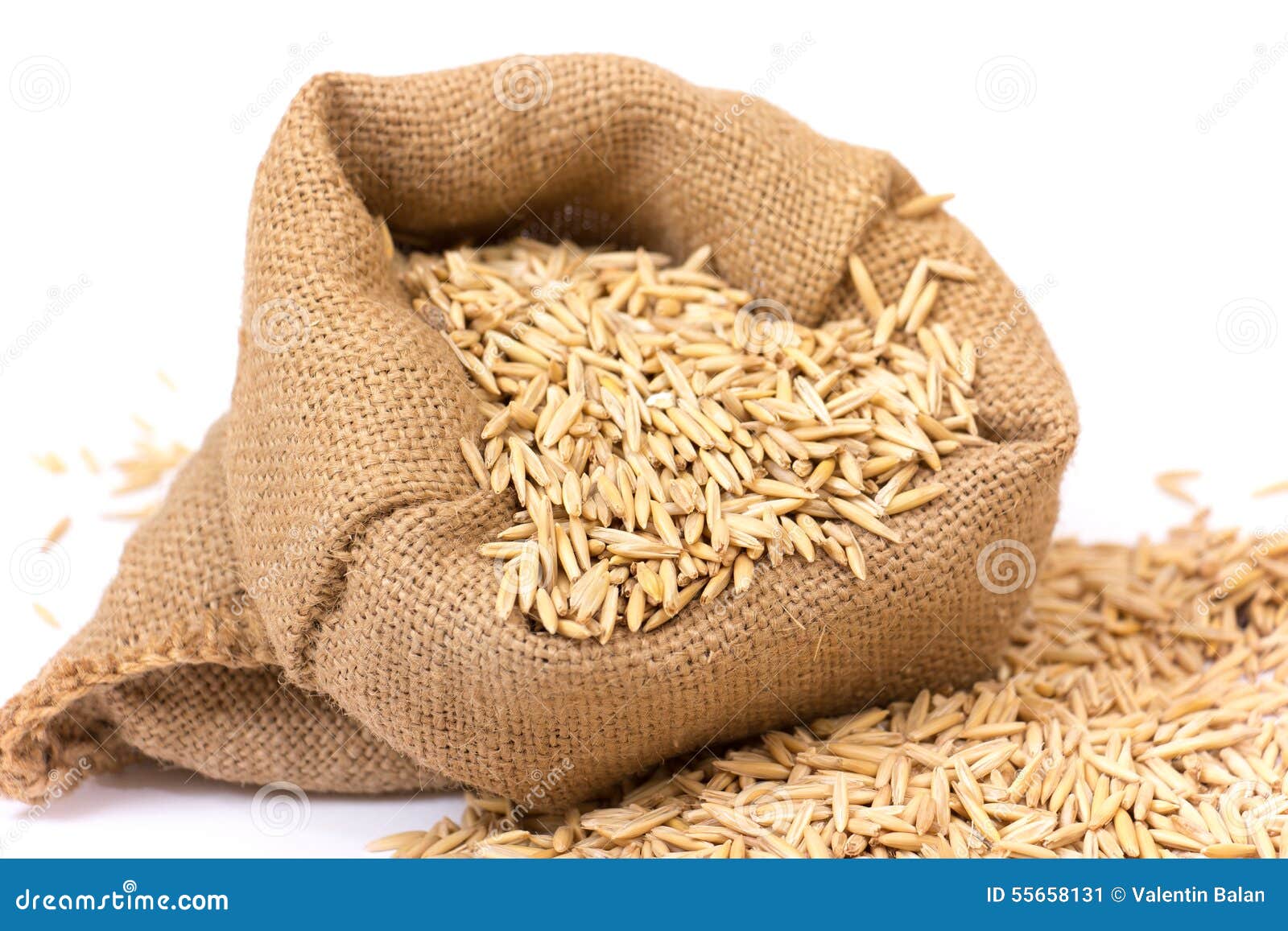 Oat Grains in a Burlap Sack Stock Image - Image of heap, nutrient: 55658131