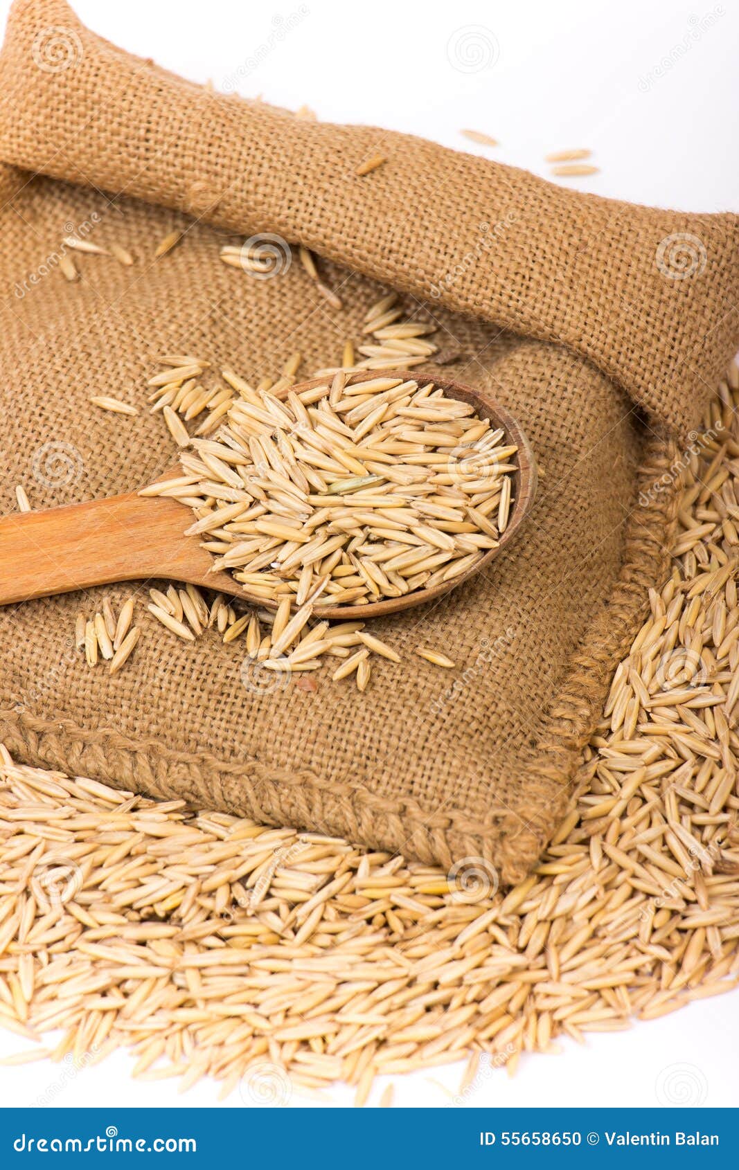 Oat Grains in a Burlap Sack Stock Photo - Image of organic, agriculture ...