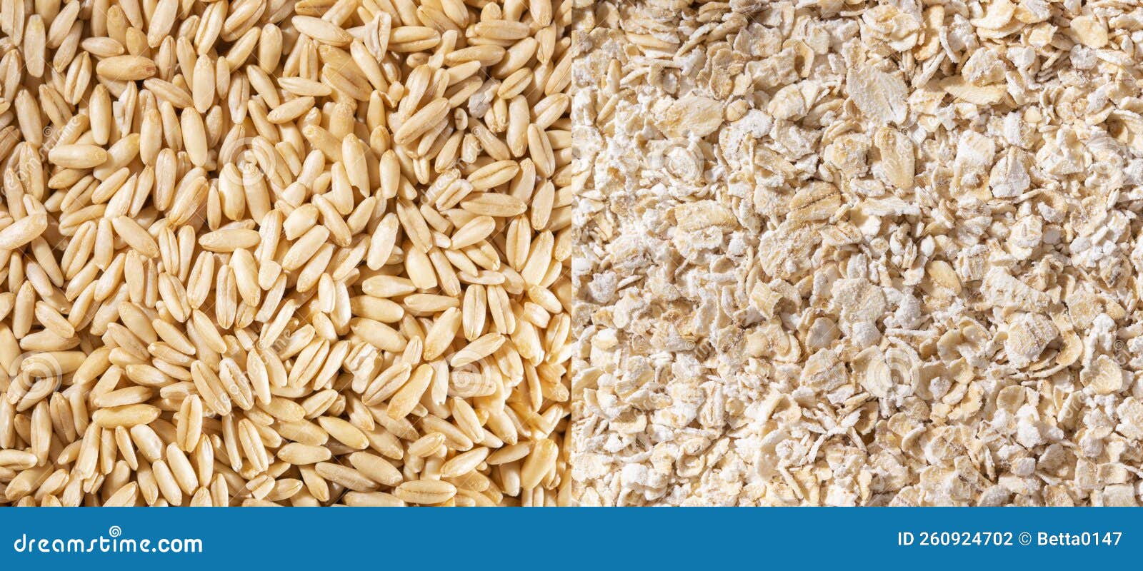 Oat Grains, Flakes and Flour Stock Photo - Image of grain, dieting ...