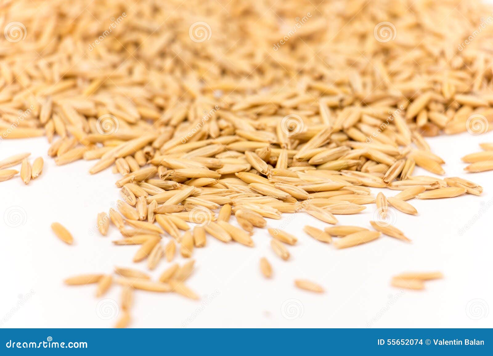 Oat grains stock photo. Image of plant, meal, lifestyle - 55652074