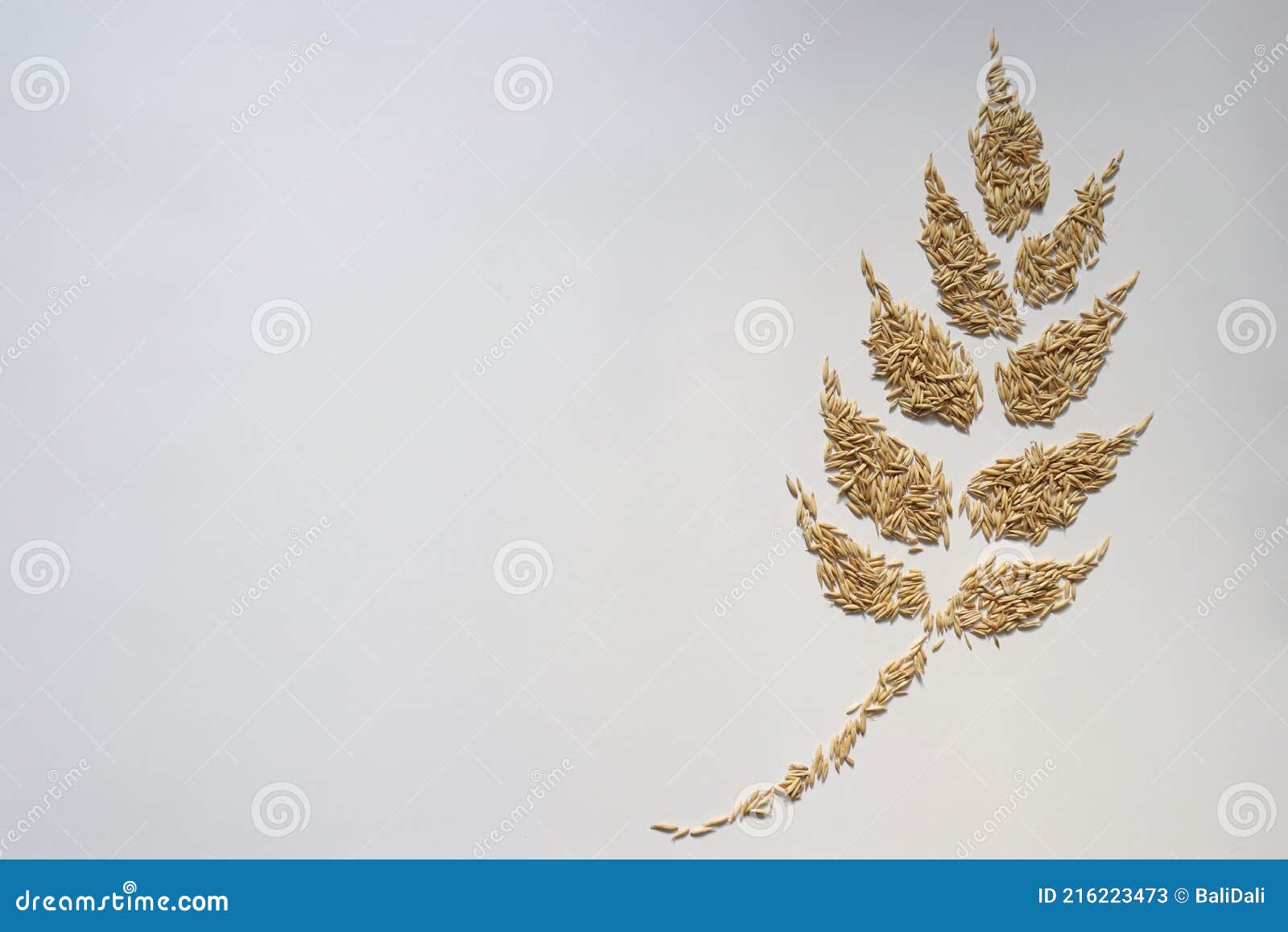 Oat Grains in a Shape of Spikelet. Top View, Copy Space. Stock Image ...