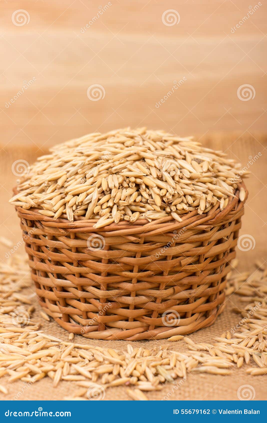 Oat grains stock photo. Image of cuisine, natural, isolated - 55679162