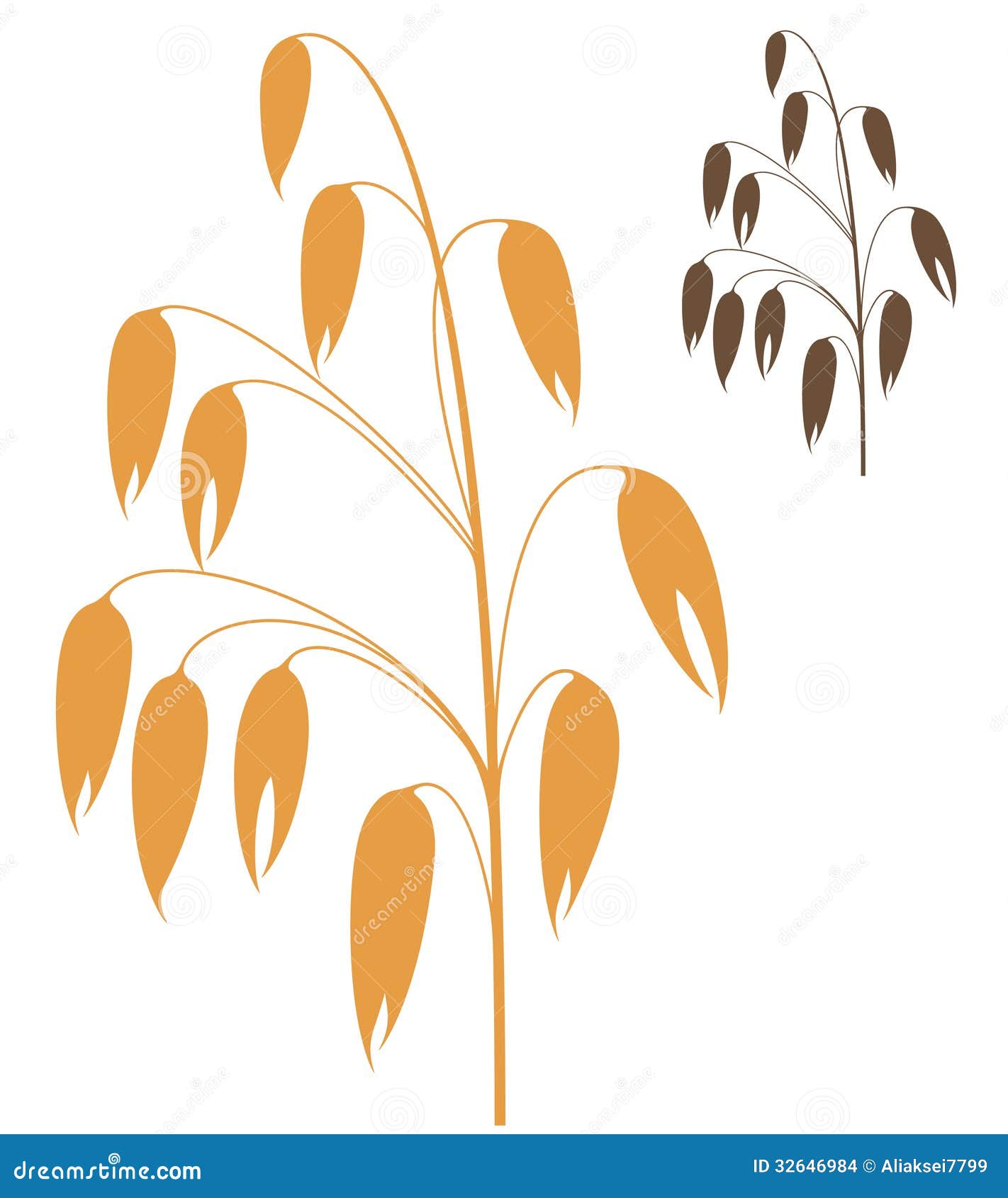Oat stock vector. Illustration of agriculture, brown - 32646984