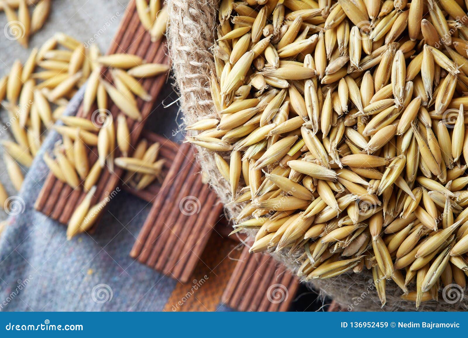 Oat seeds Avena sativa stock image. Image of pile, seeds - 136952459
