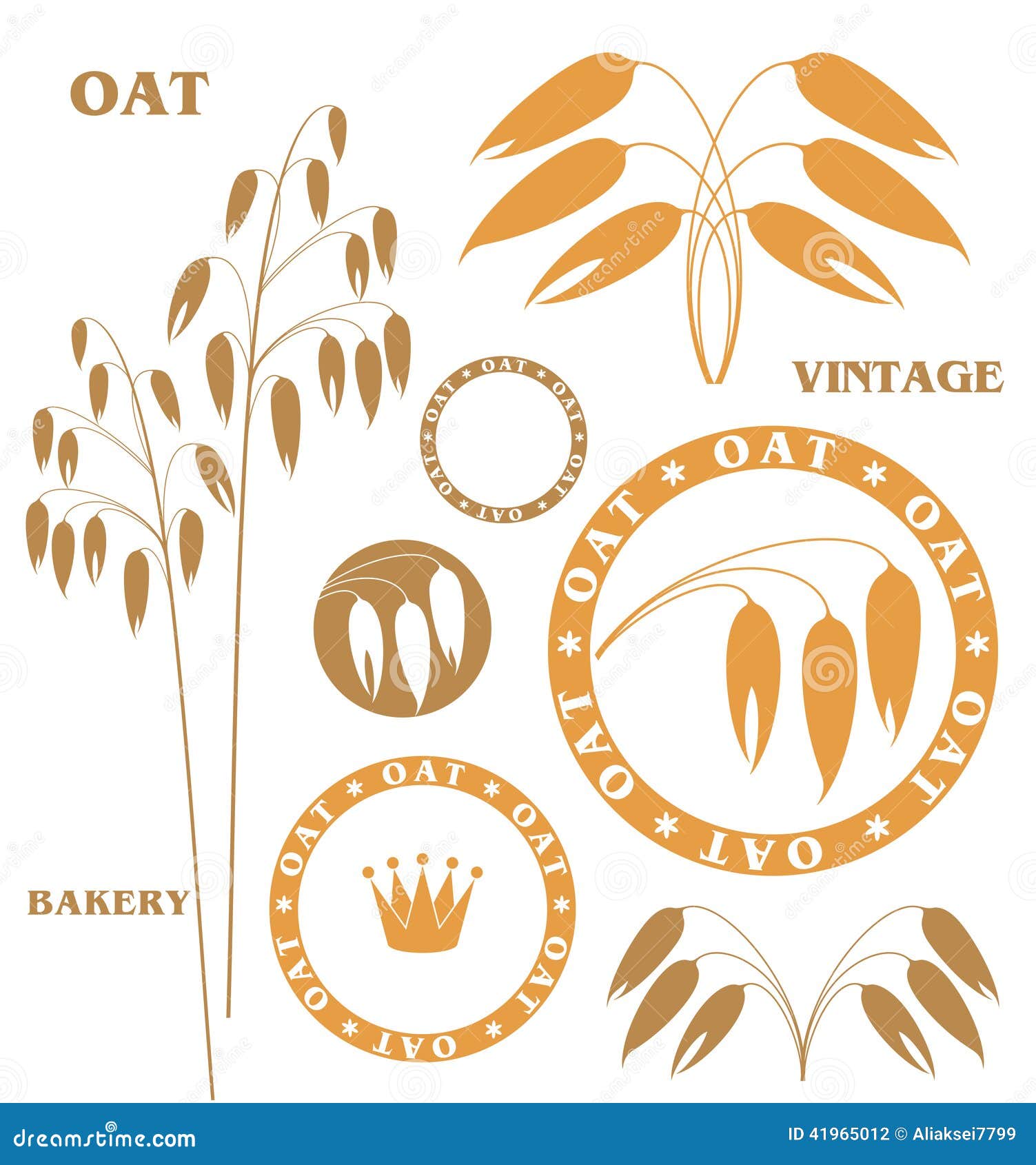 Oat stock vector. Illustration of grain, traditional - 41965012