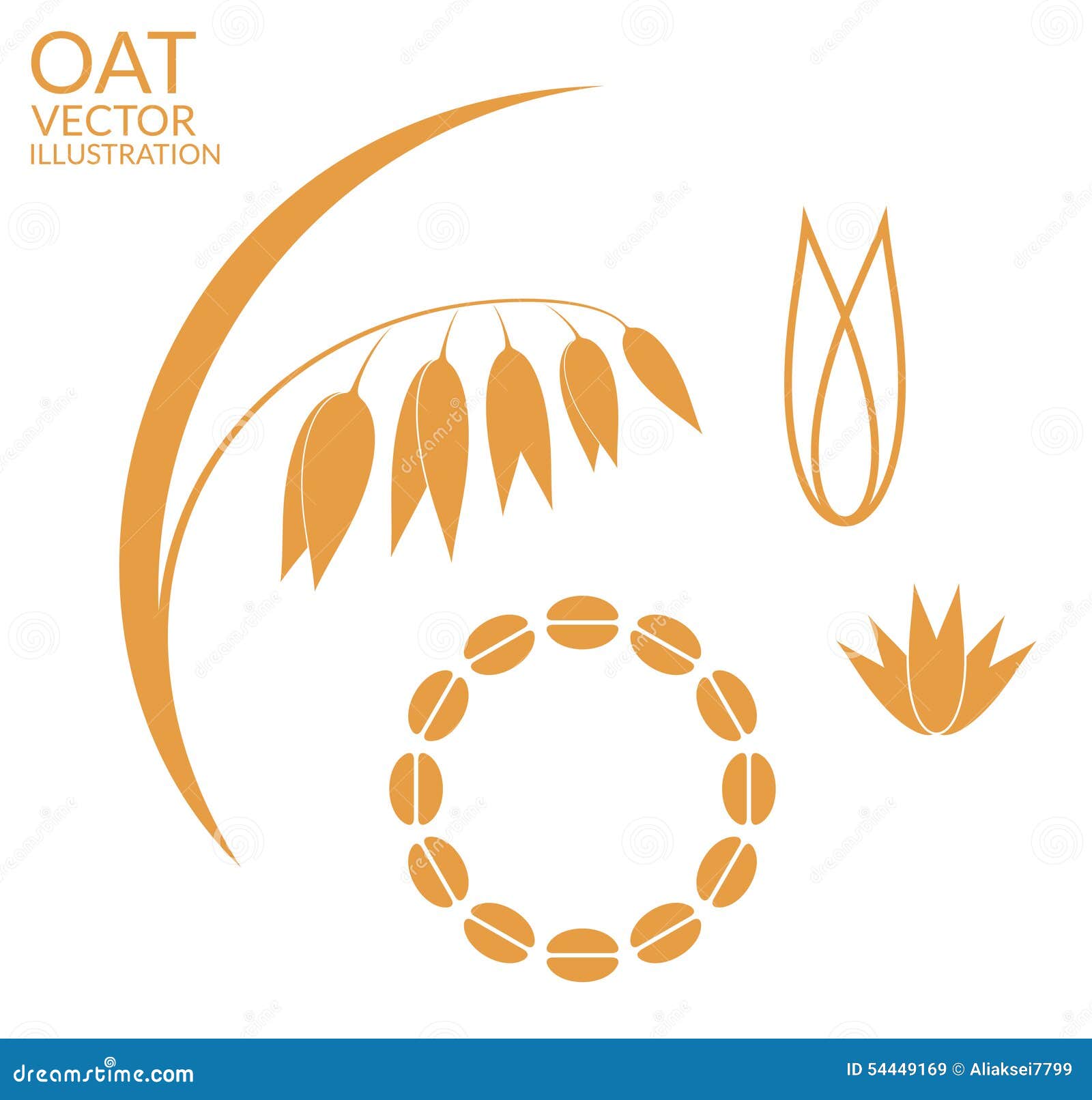 Oat. Set stock vector. Illustration of unusual, icon - 54449169